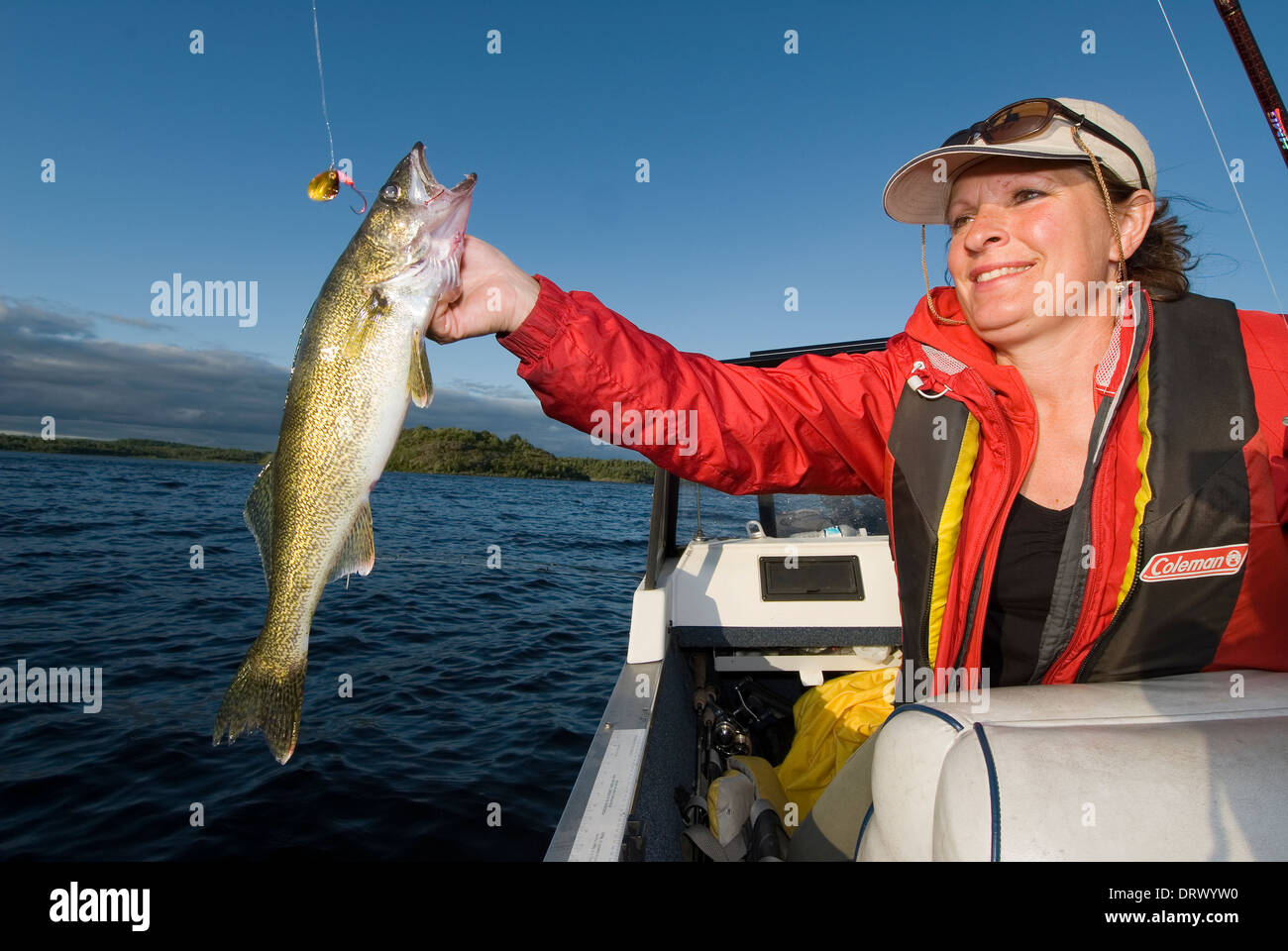 Woman angler holding the summer walleye she caught in Northern Ontario ...