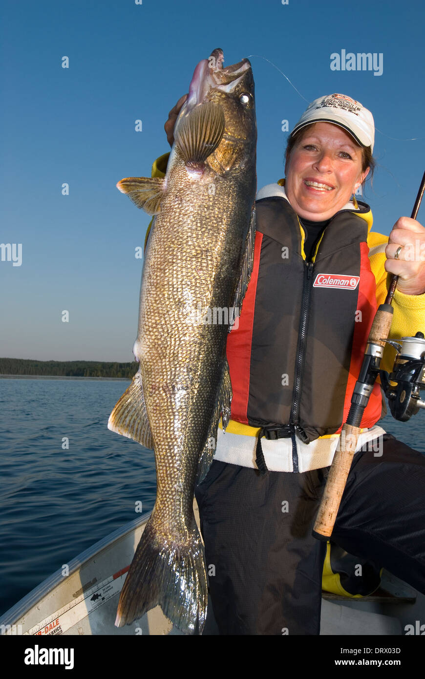 Woman angler holding the summer walleye she caught in Northern Ontario ...
