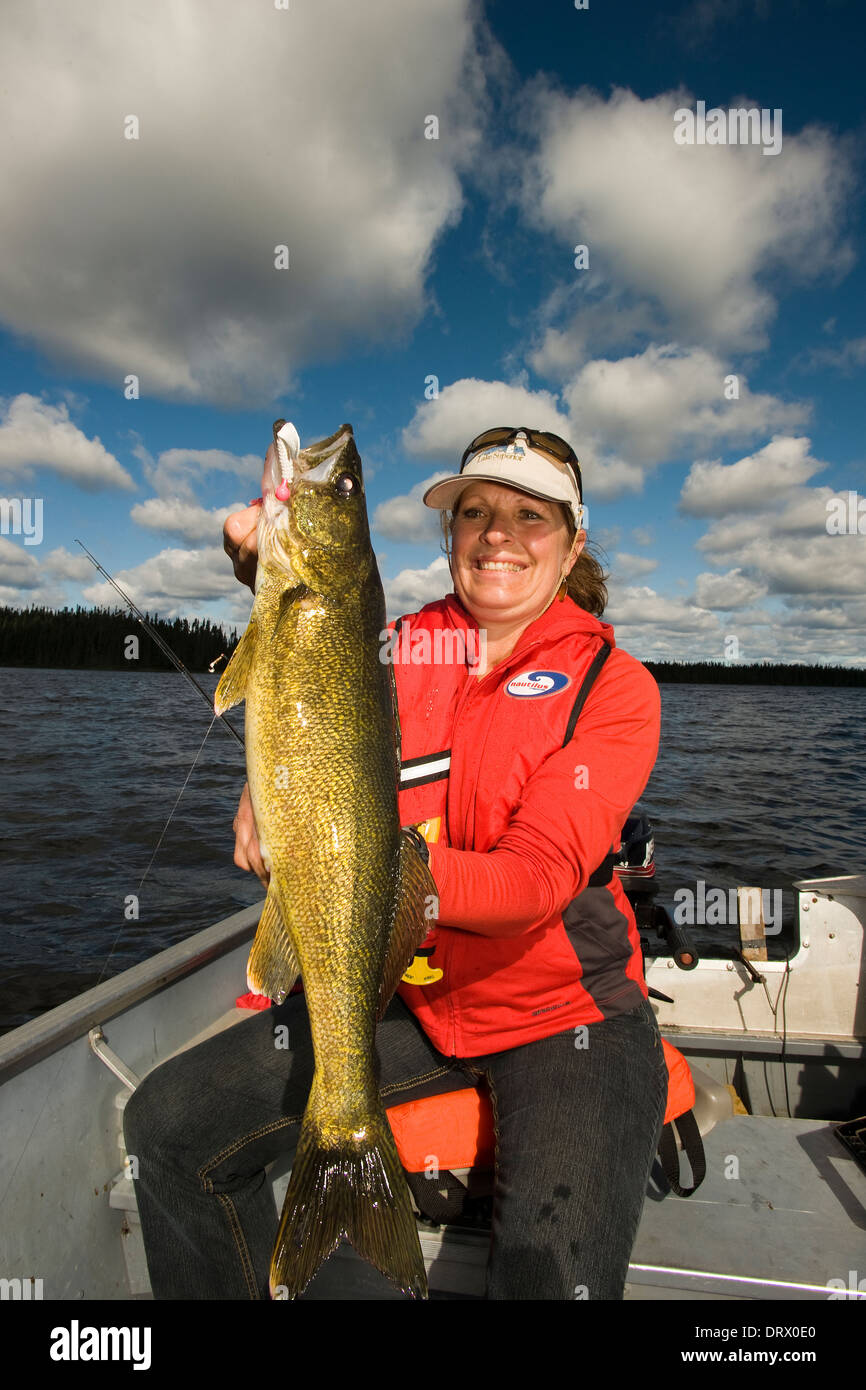 Woman angler holding the summer walleye she caught in Northern Ontario ...