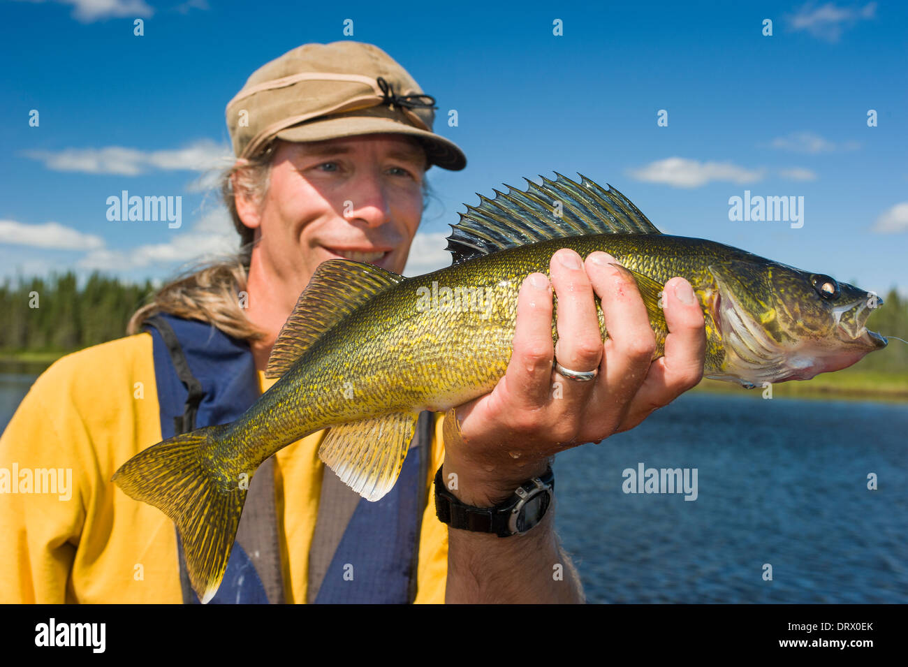 Angler holding walleye hi-res stock photography and images - Alamy