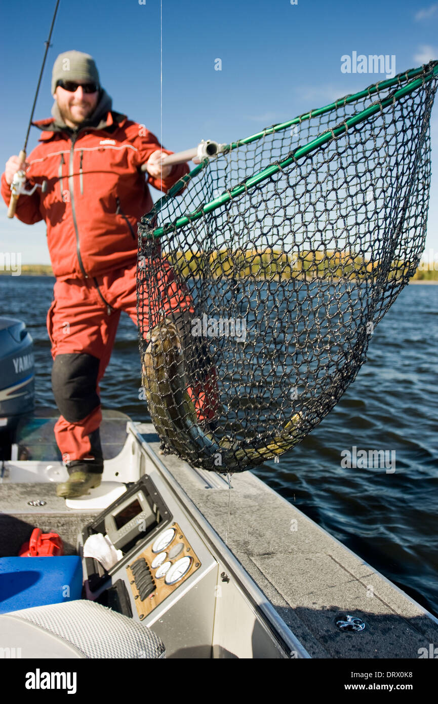 Netted fish hi-res stock photography and images - Alamy