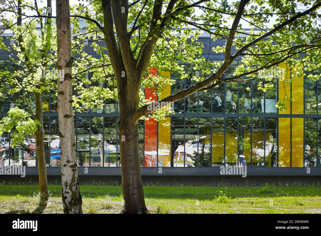 Wednesfield School, Wolverhampton, United Kingdom. Architect: Capita ...