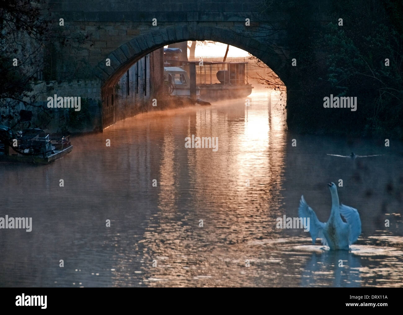 Folly bridge oxford hi-res stock photography and images - Alamy