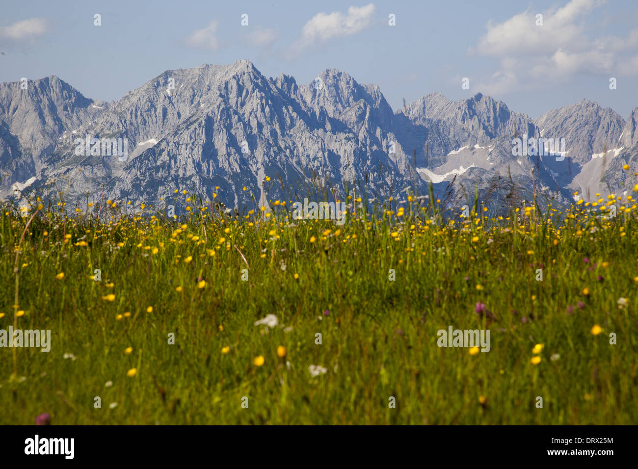 Bavarian mountains in summer hi-res stock photography and images - Alamy