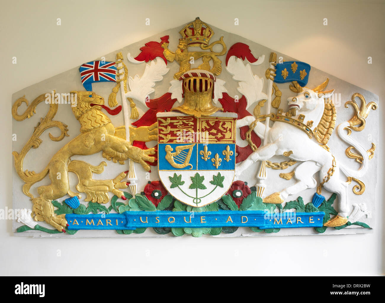 Three lions coat of arms hi-res stock photography and images - Alamy