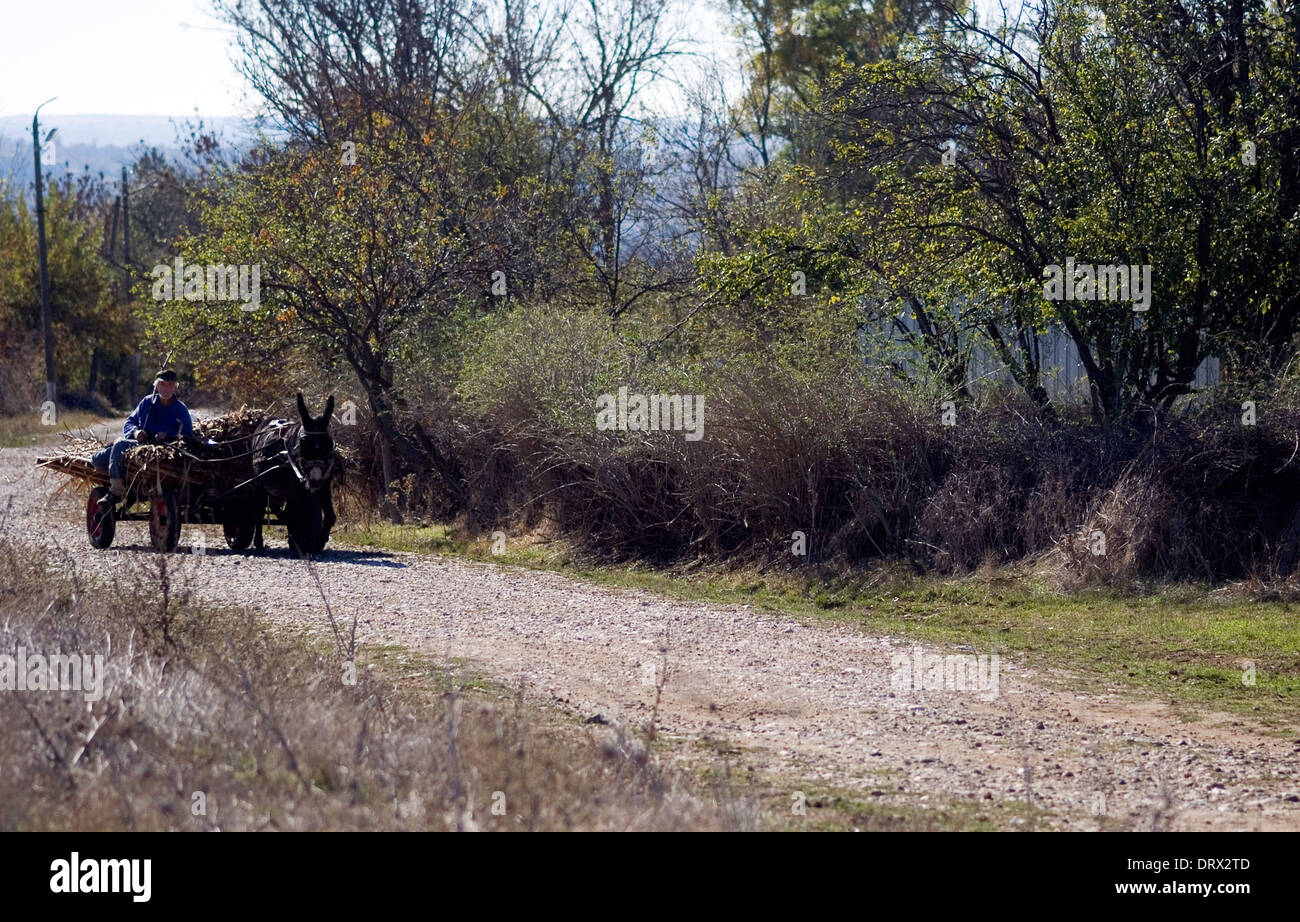 Strandja mountains bulgaria eastern europe culture animals hi-res stock ...