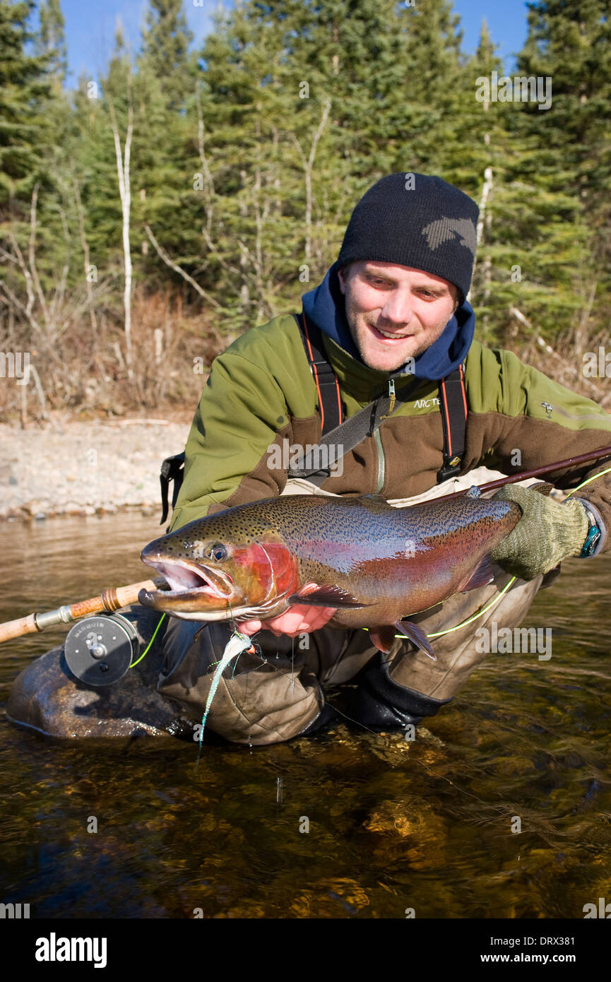 Angler holding a large steelhead caught spey casting in a river in ...