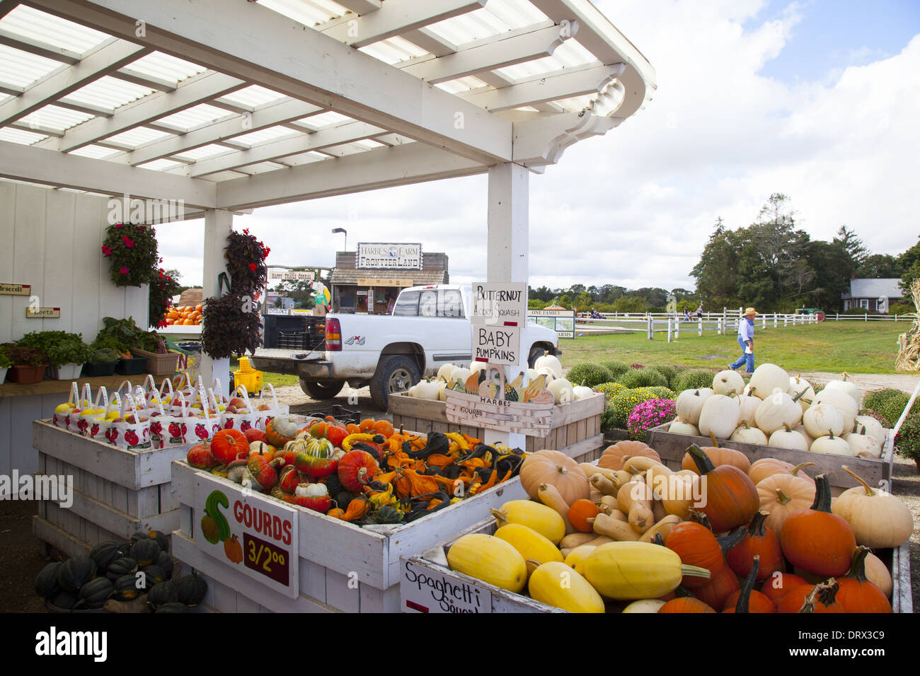 Various Fall Fruits are shown at an outdoor Farmers Market in Long ...