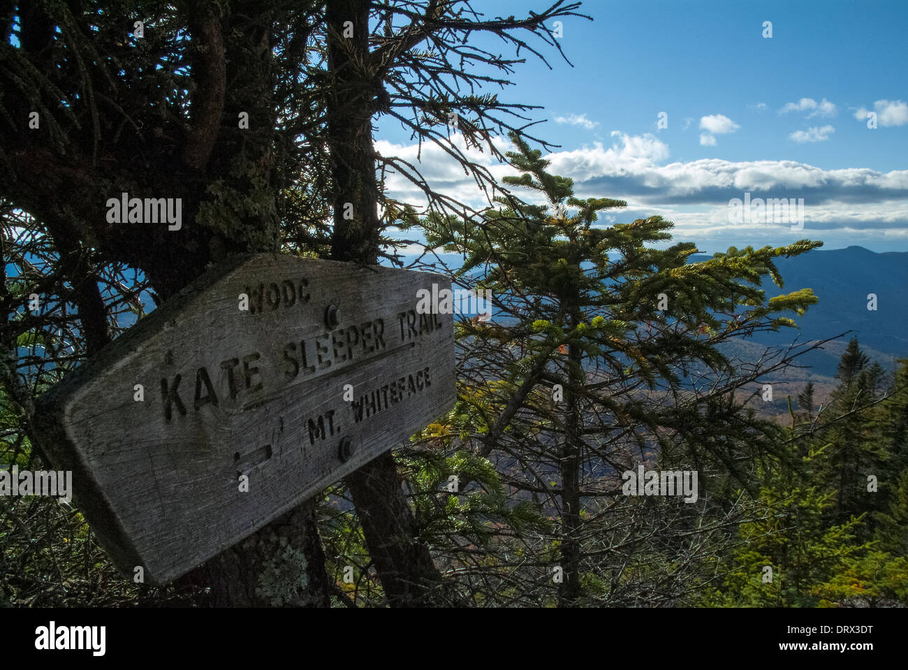 Kate Sleeper Trail in the White Mountains, New Hampshire USA during the ...