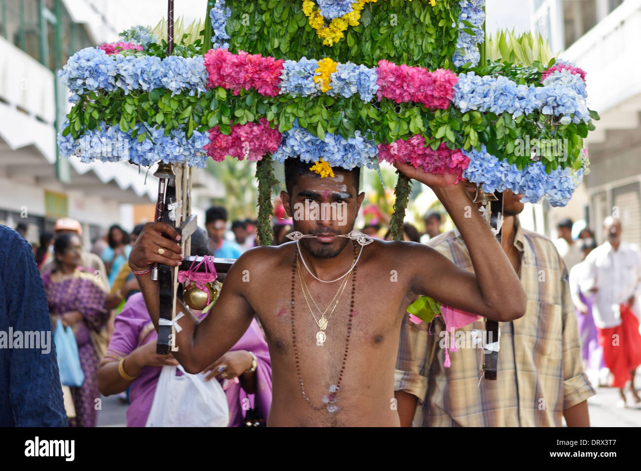 A devotee of Lord Muruga carrying a decorative cavadee during the ...