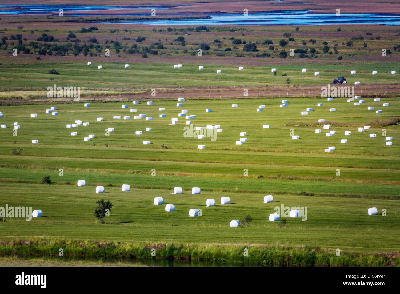 Agriculture iceland hi-res stock photography and images - Alamy