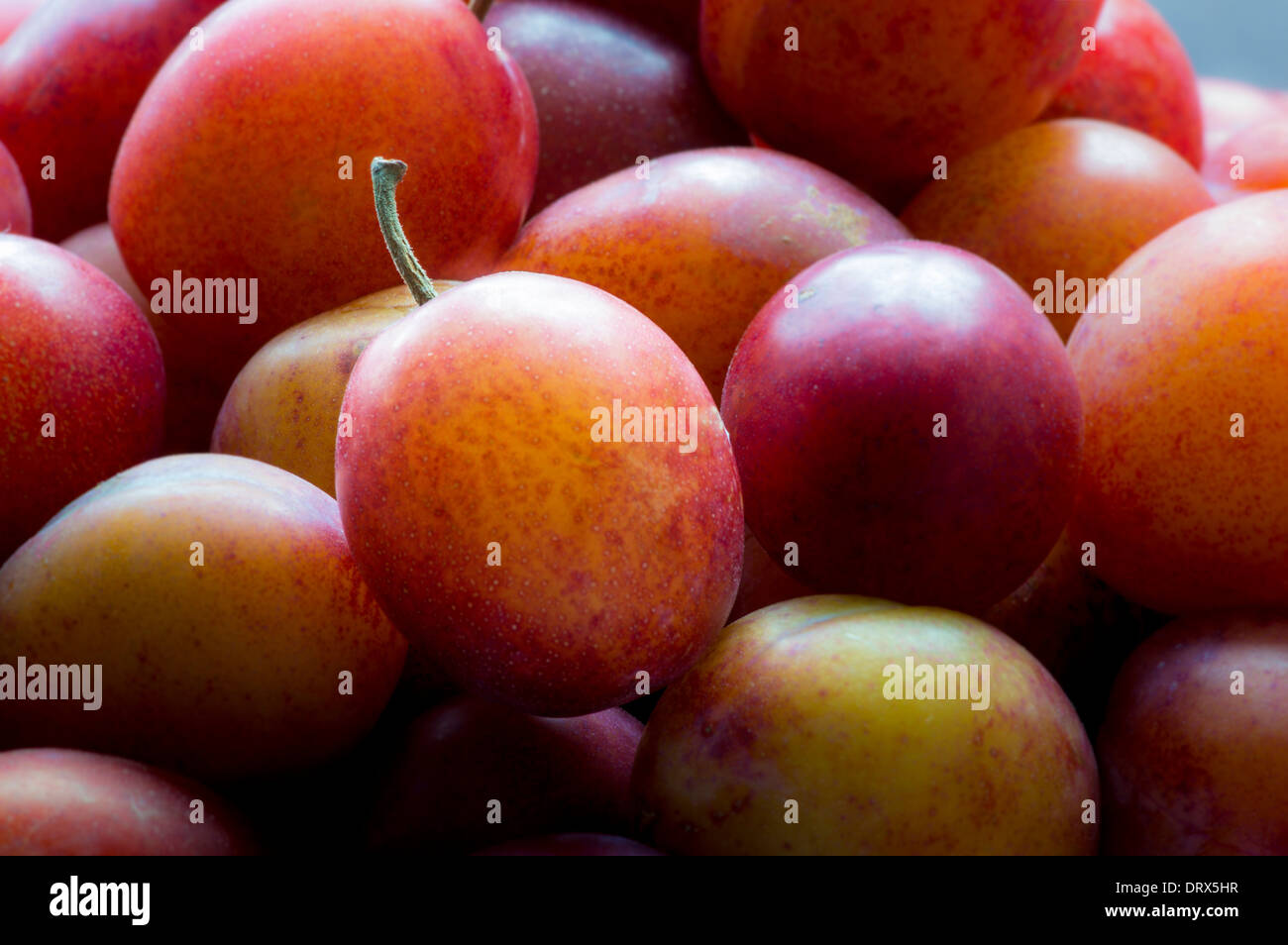 Mottled skin hi-res stock photography and images - Alamy