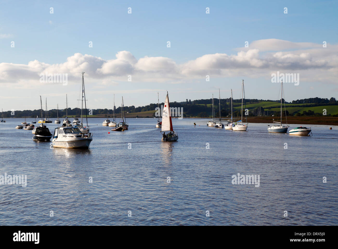 Topsham; River Exe; Devon; UK Stock Photo - Alamy