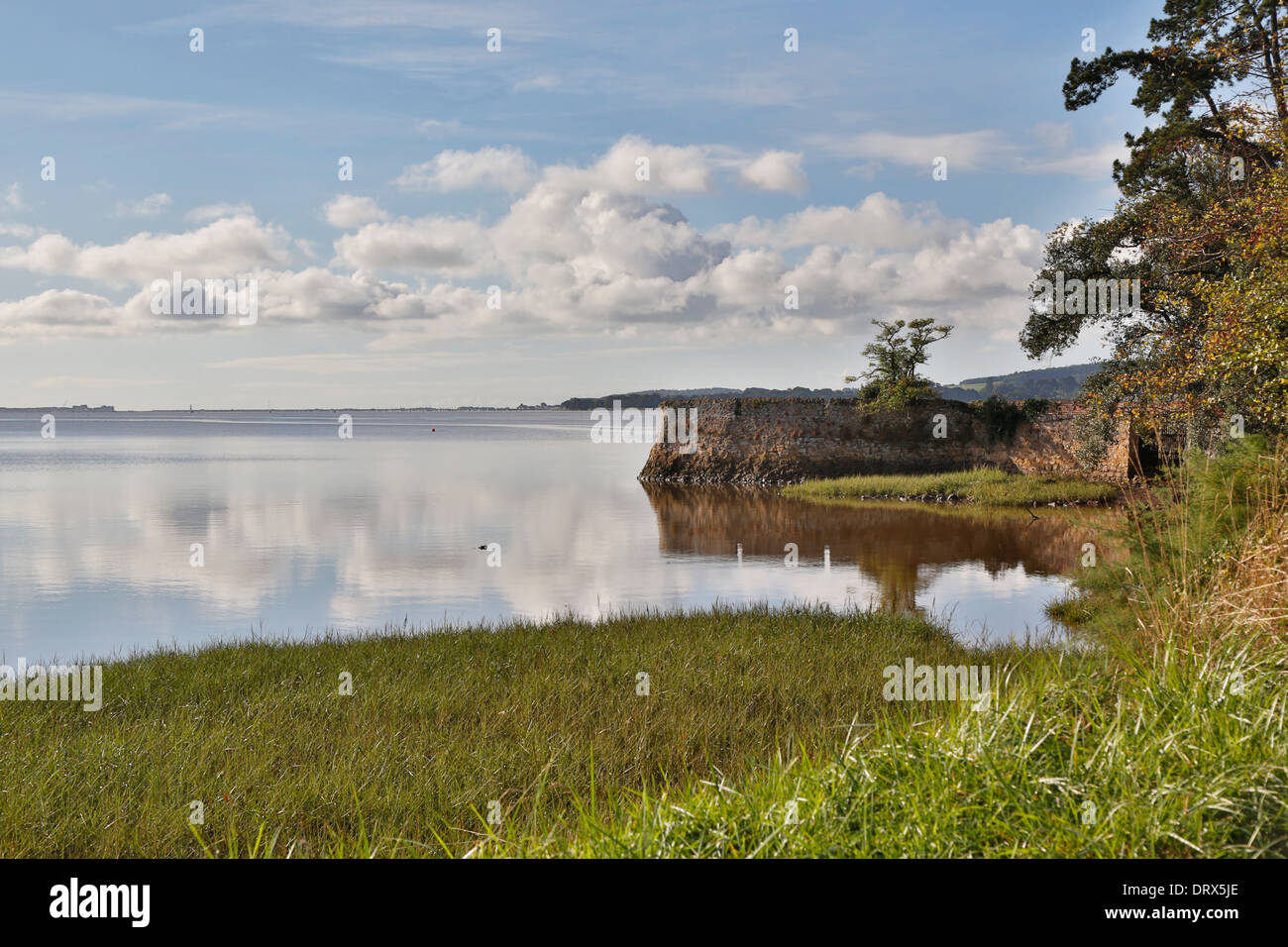 River Exe High Resolution Stock Photography and Images - Alamy