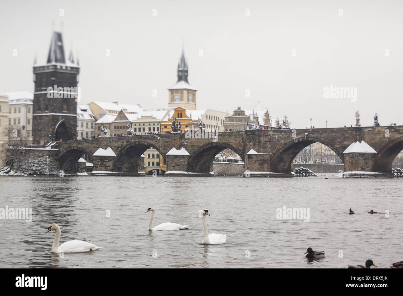 Winter prague charles bridge snow hi-res stock photography and images ...