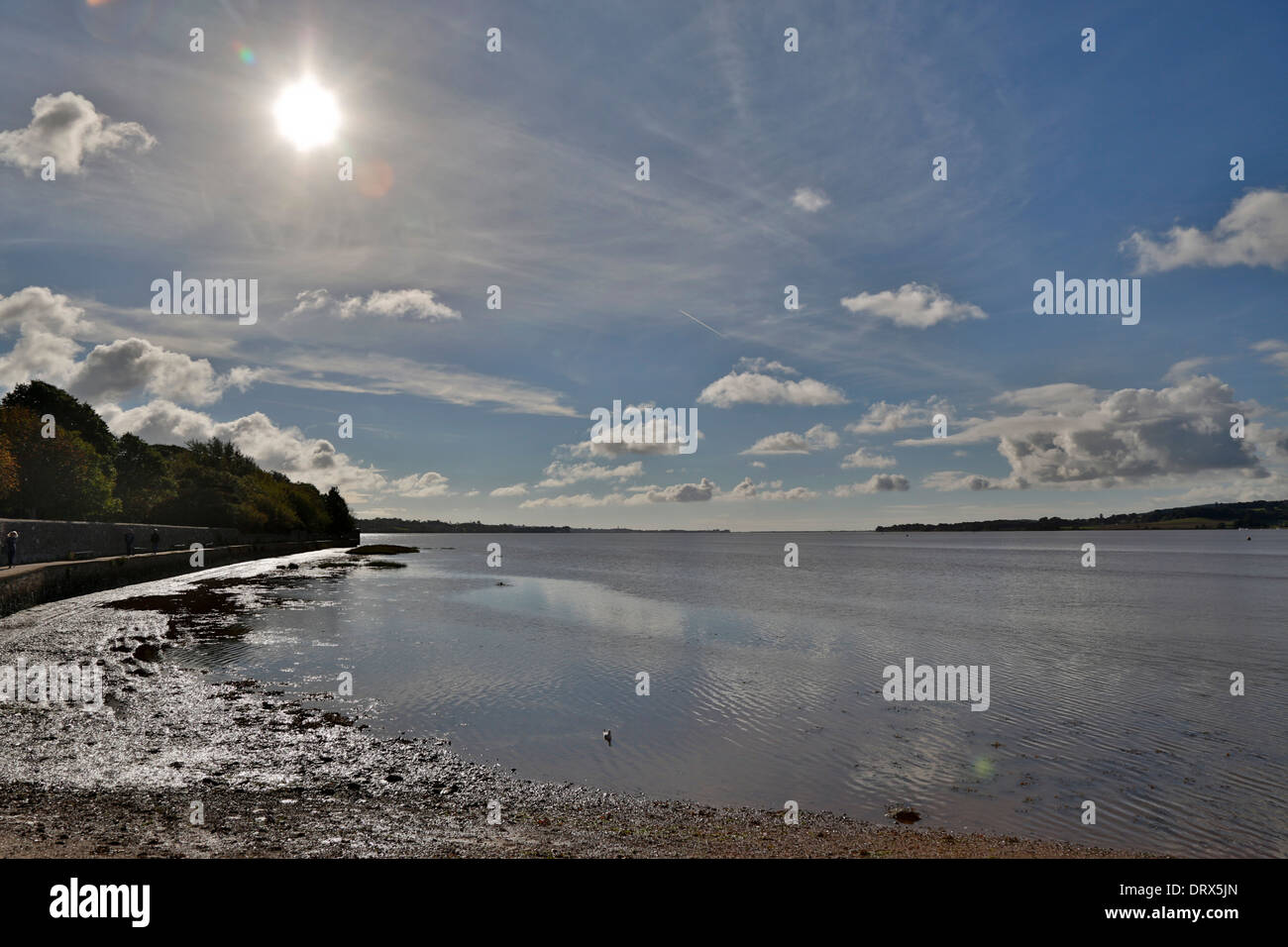Devon exe estuary hi-res stock photography and images - Alamy