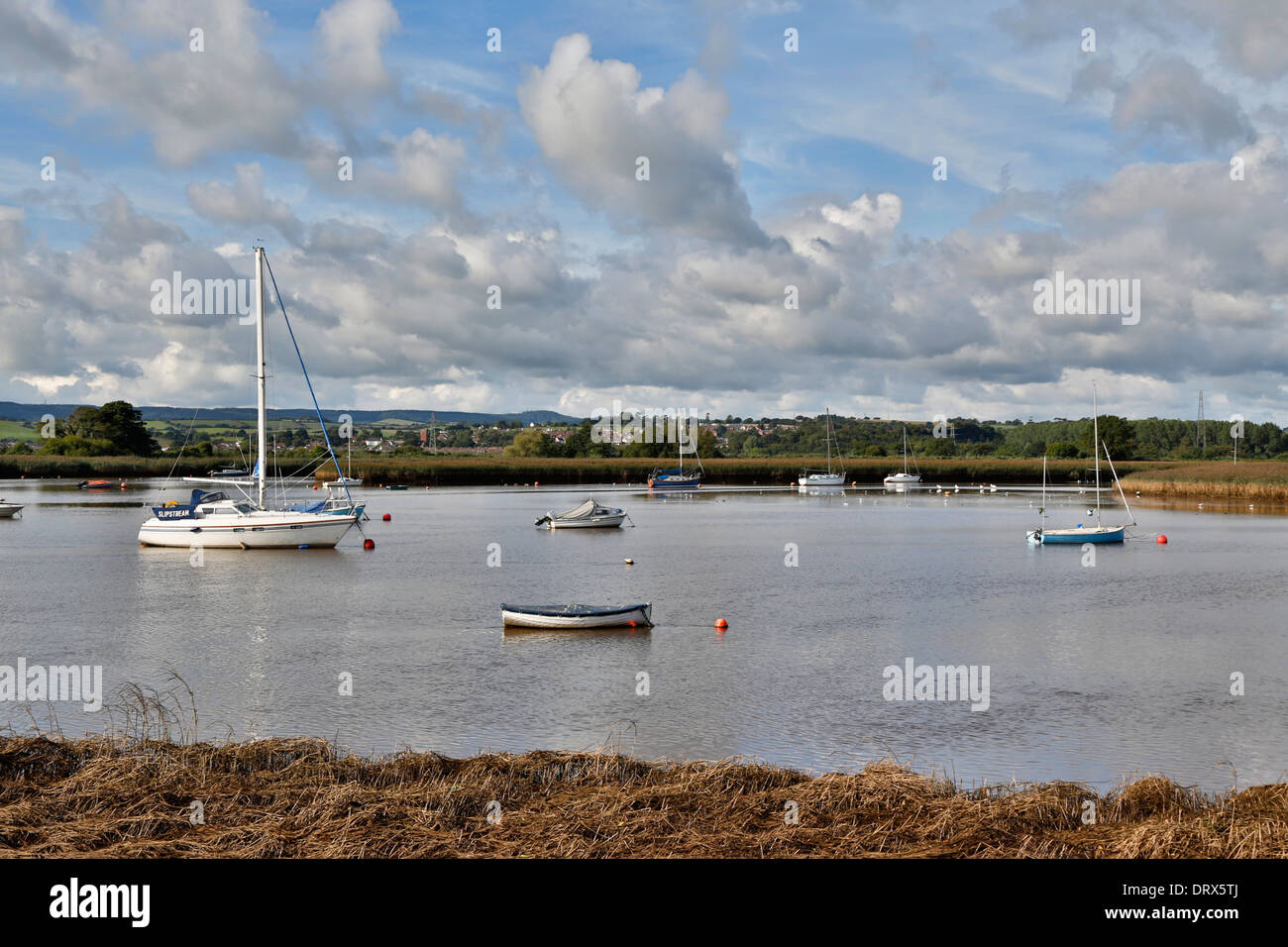 Topsham; River Exe; Devon; UK Stock Photo - Alamy