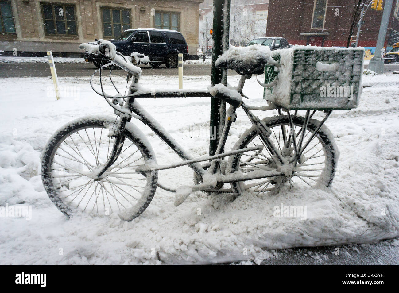 Chained to a pole hi-res stock photography and images - Alamy