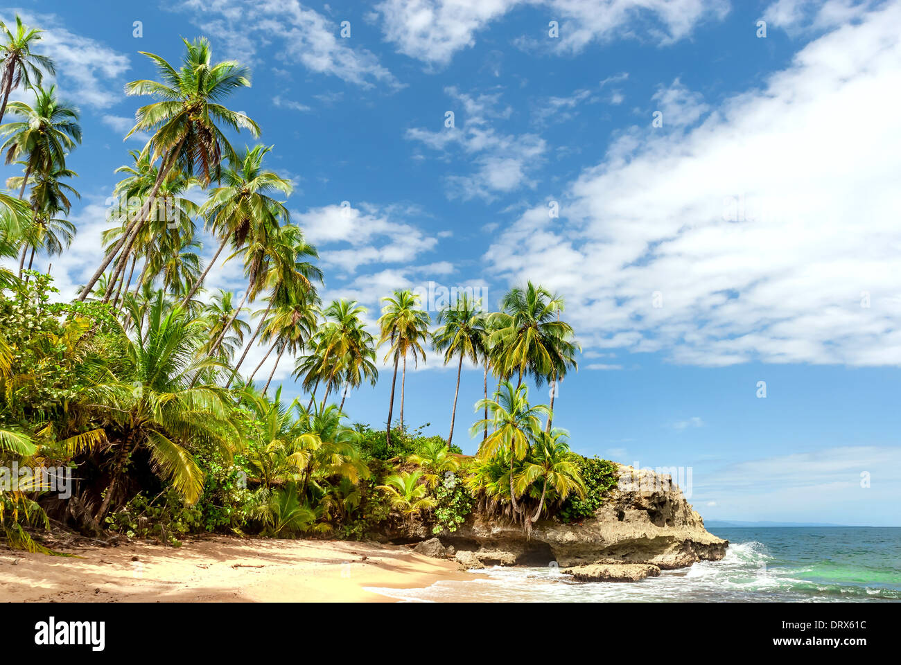 Tropical paradise in Costa Rica, Manzanillo Stock Photo - Alamy