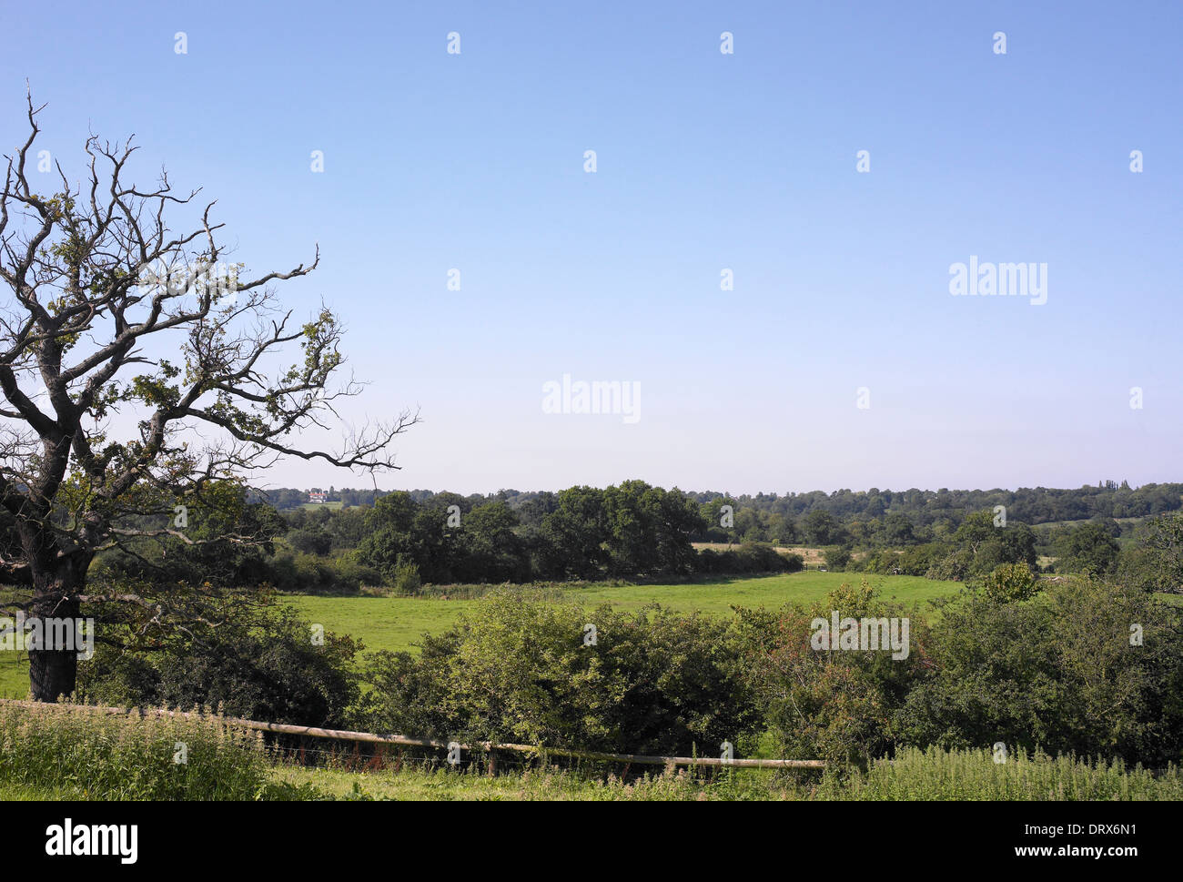 Countryside Landscape view Stock Photo - Alamy