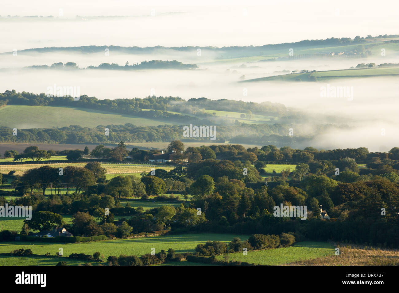 Low lying mist over the Devon countryside. Uk Stock Photo - Alamy