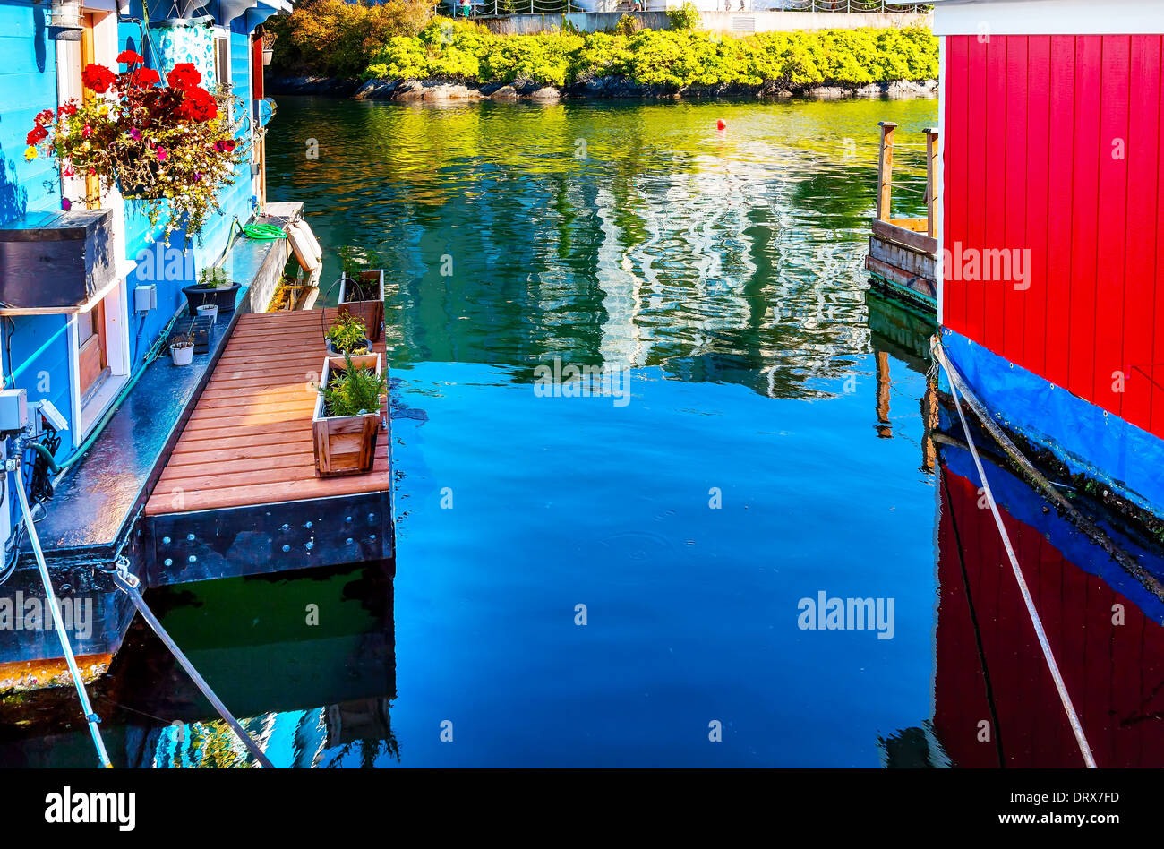 Floating Home Village Blue Red Houseboats Fisherman's Wharf Reflection ...