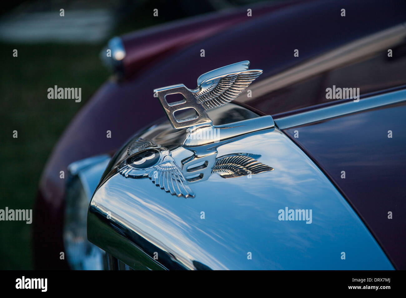 Bentley motor car badge Stock Photo - Alamy
