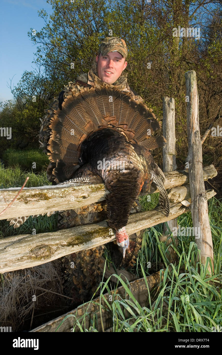 A hunter holds a wild turkey over a wooden fence Stock Photo - Alamy