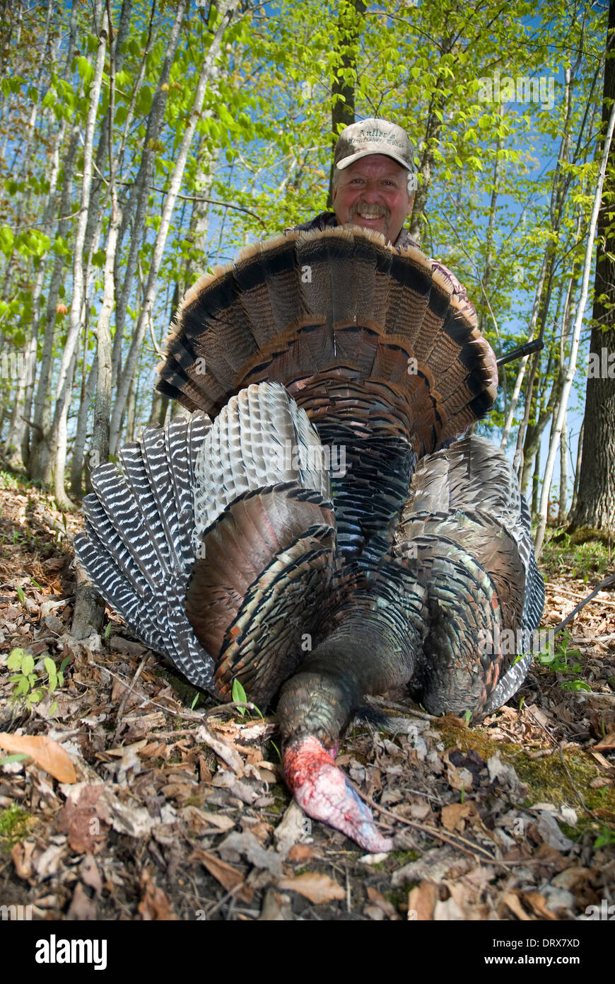 A hunter stands behind the wild turkey he shot Stock Photo - Alamy