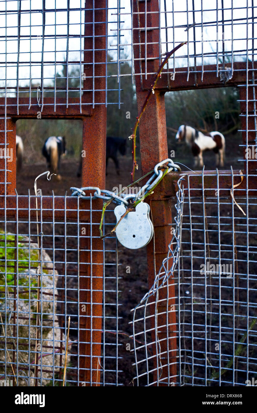 Locked gates hi-res stock photography and images - Alamy