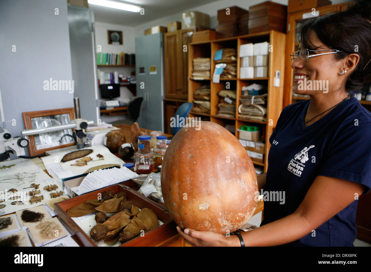 Galapagos Islands. Darwin Conservation Centre Stock Photo - Alamy