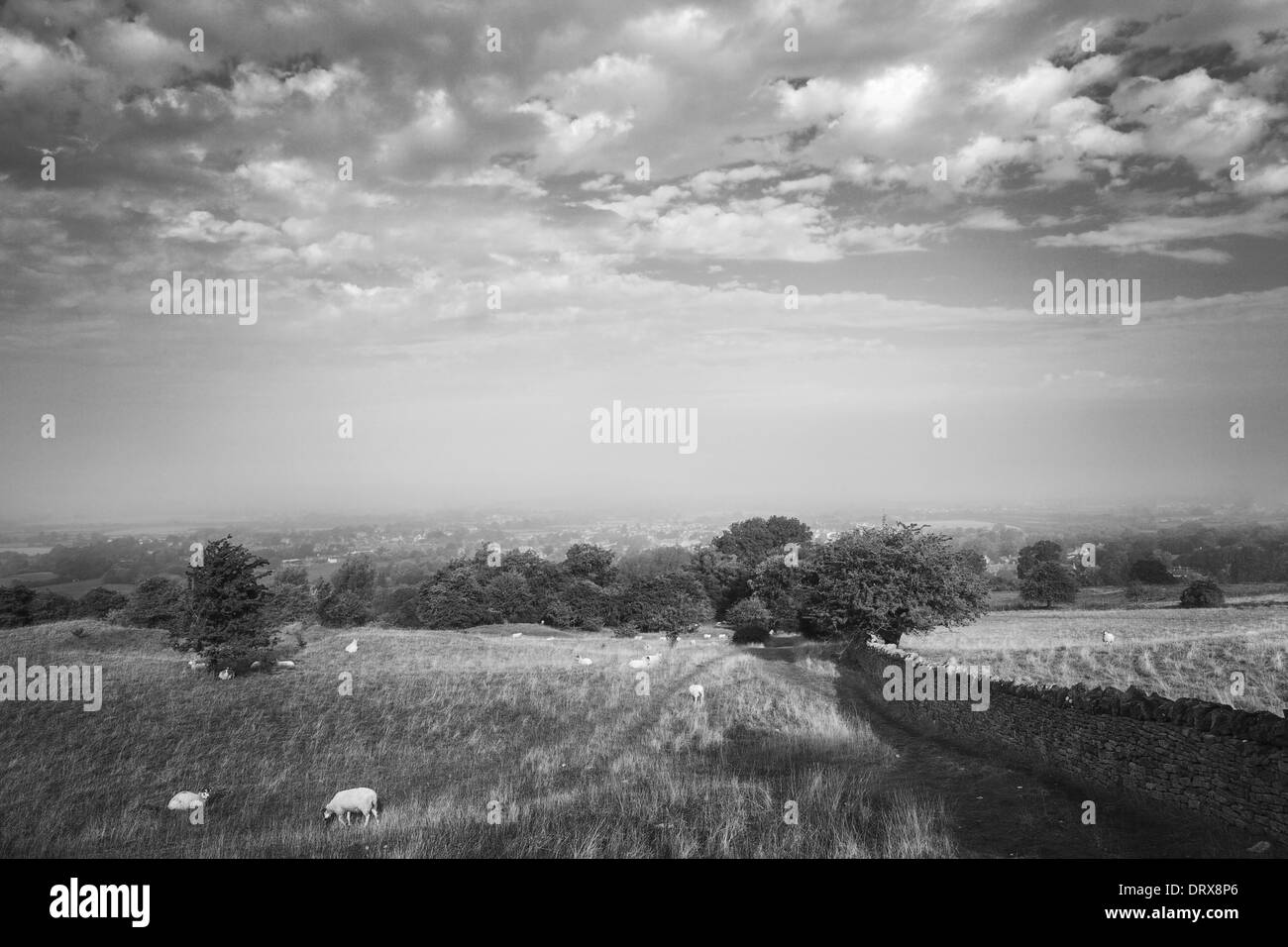 Summer cotswolds landscape stone wall Black and White Stock Photos ...