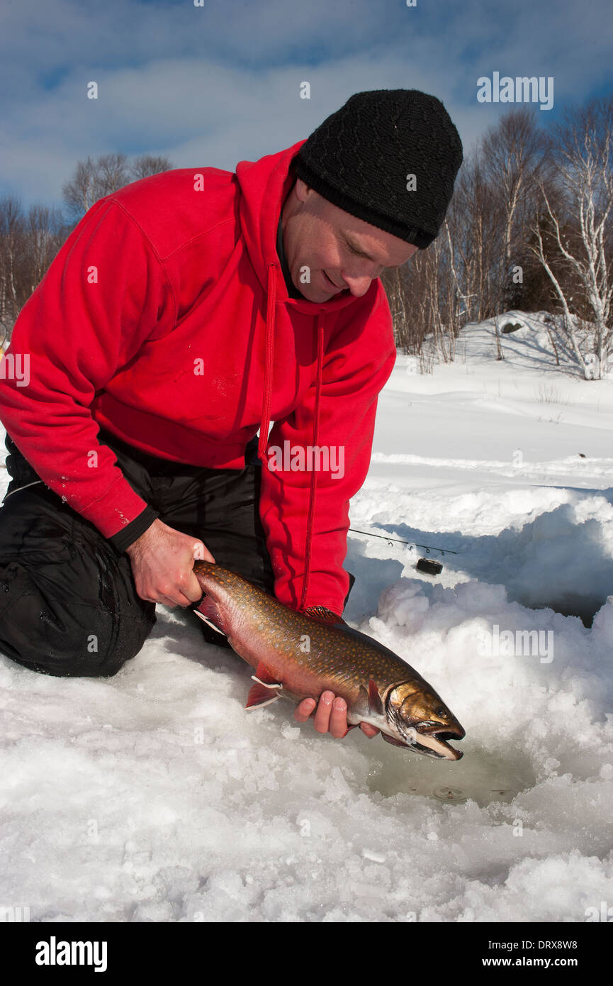 Fisherman releasing a winter brook trout he caught ice fishing Stock ...