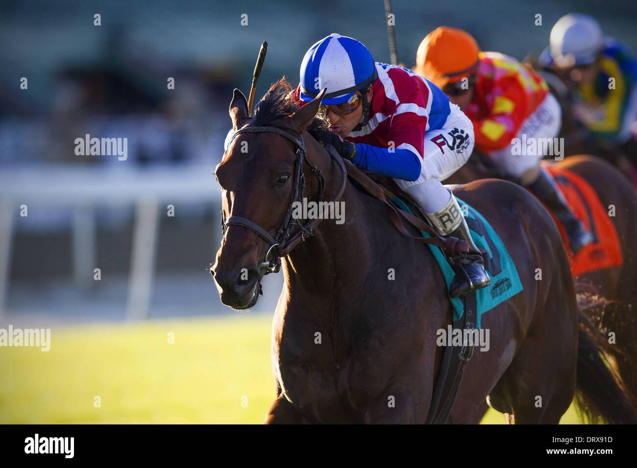 Arcadia, CA, USA. 1st Feb, 2014. Winning Prize with jockey Rafael ...