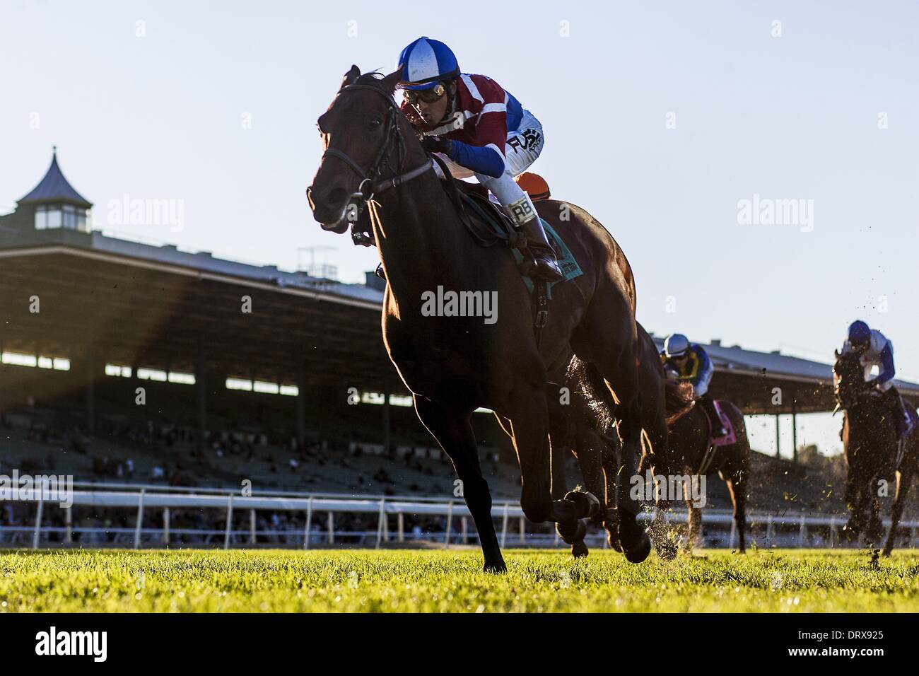 Arcadia, CA, USA. 1st Feb, 2014. Winning Prize with jockey Rafael ...