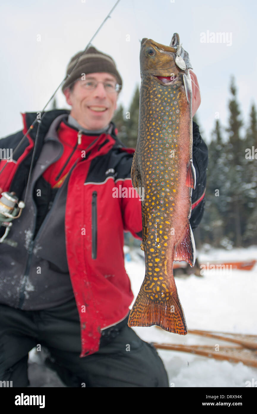 FIsherman holds up a winter brook trout caught ice fishing Stock Photo ...