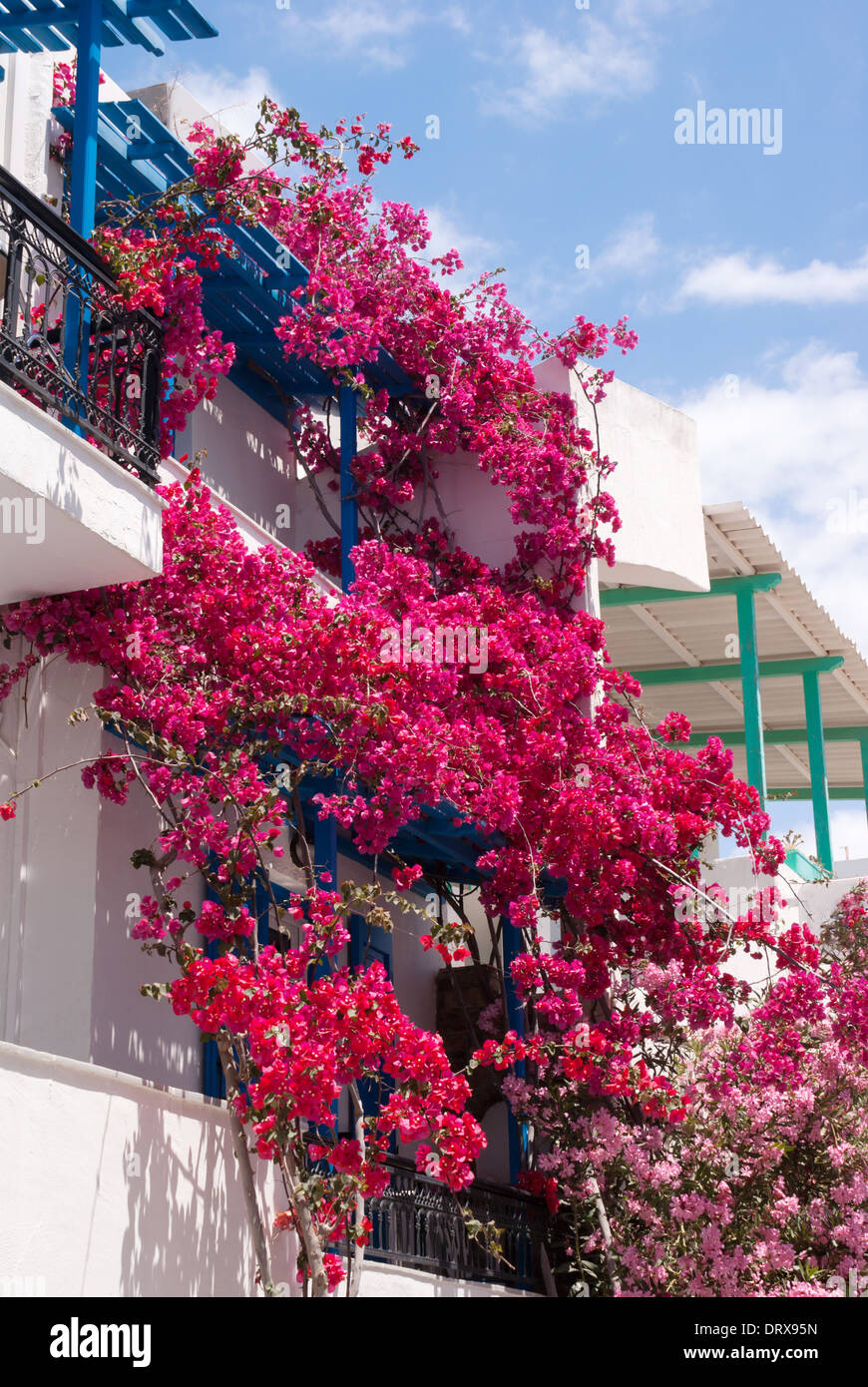 Traditional greek alley on Sifnos island, Greece Stock Photo - Alamy