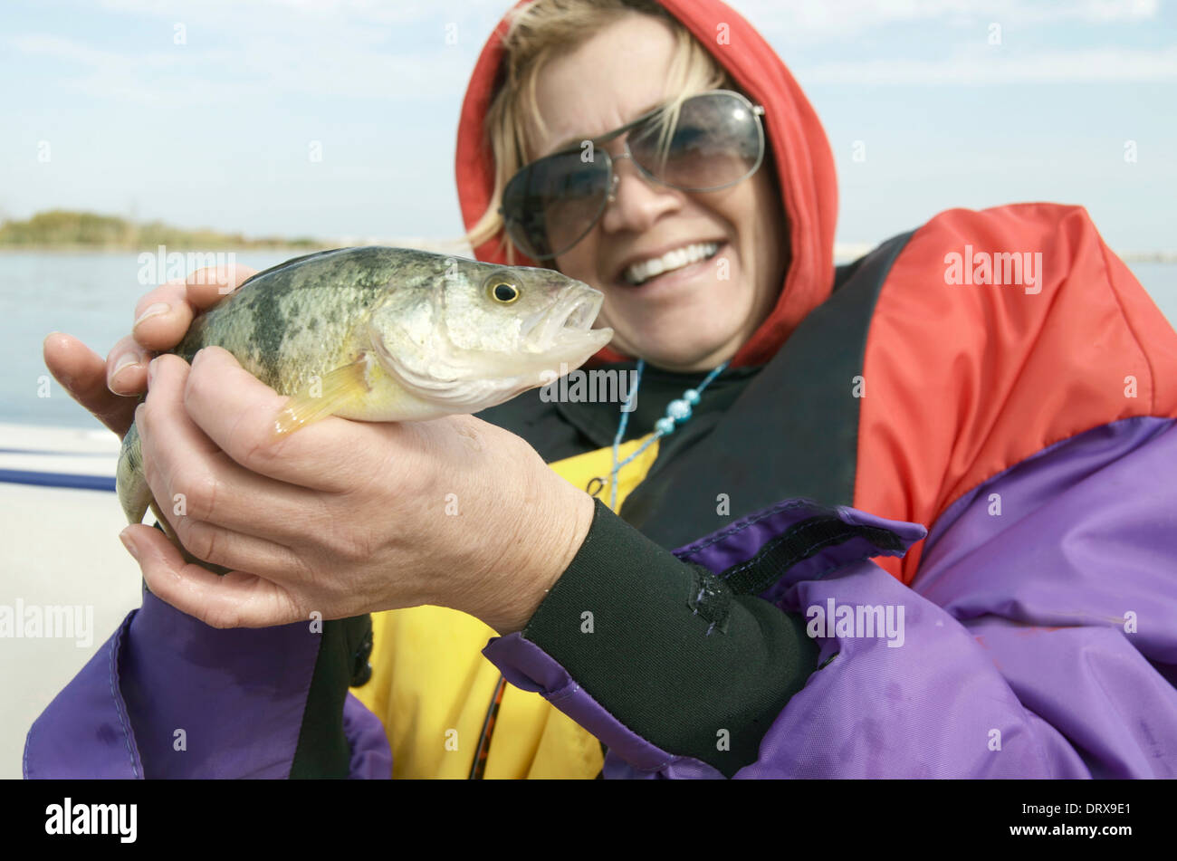 Displaying Fish Catch Stock Photos & Displaying Fish Catch Stock Images ...