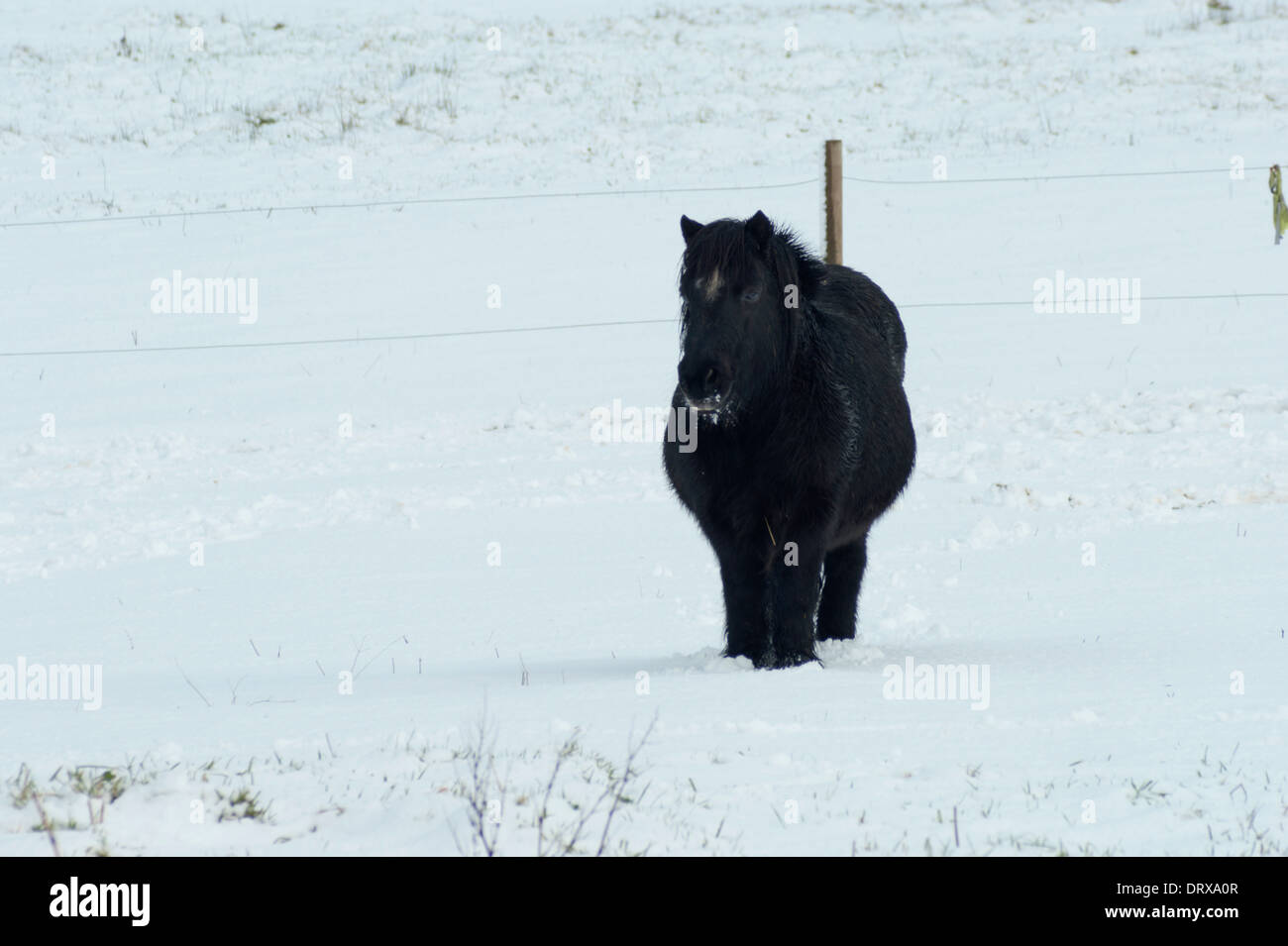 Frizington cumbria hi-res stock photography and images - Alamy
