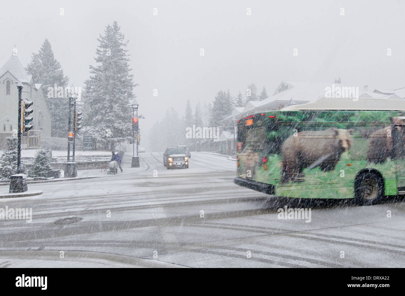 Bear look. A decorated bus passing during a snow flurry in Banff ...