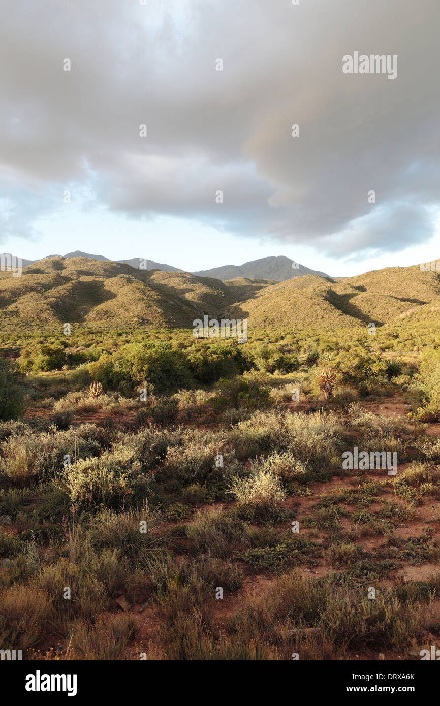 Veld hi-res stock photography and images - Alamy