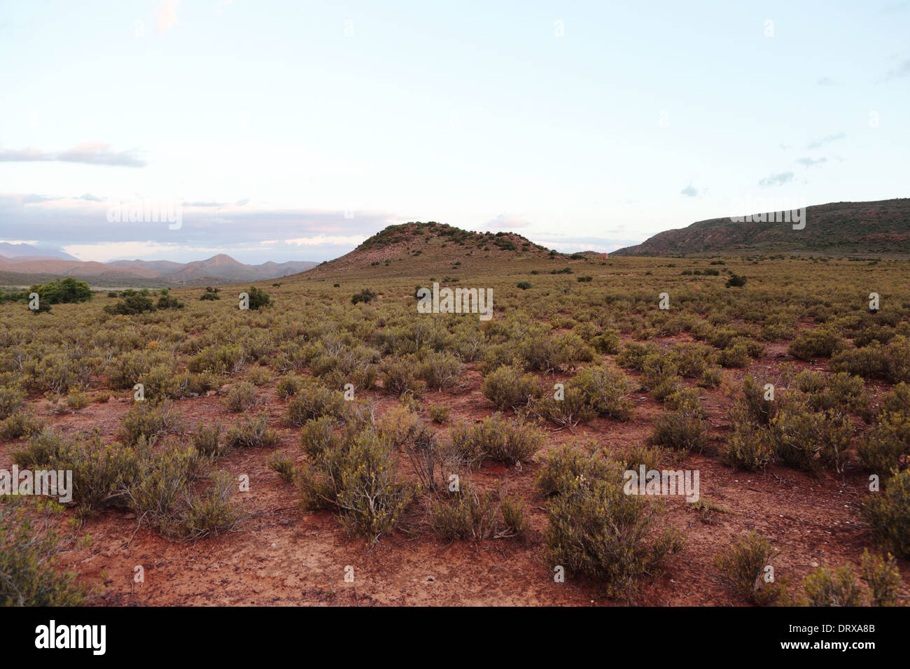 Veld hi-res stock photography and images - Alamy