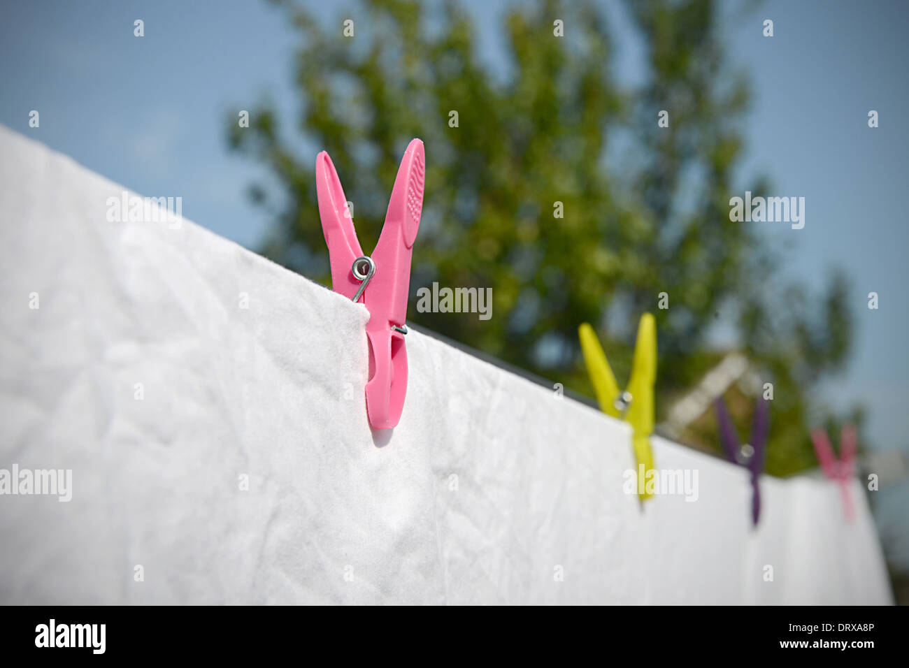 Pegs on a washing line on a bright sunny day Stock Photo - Alamy