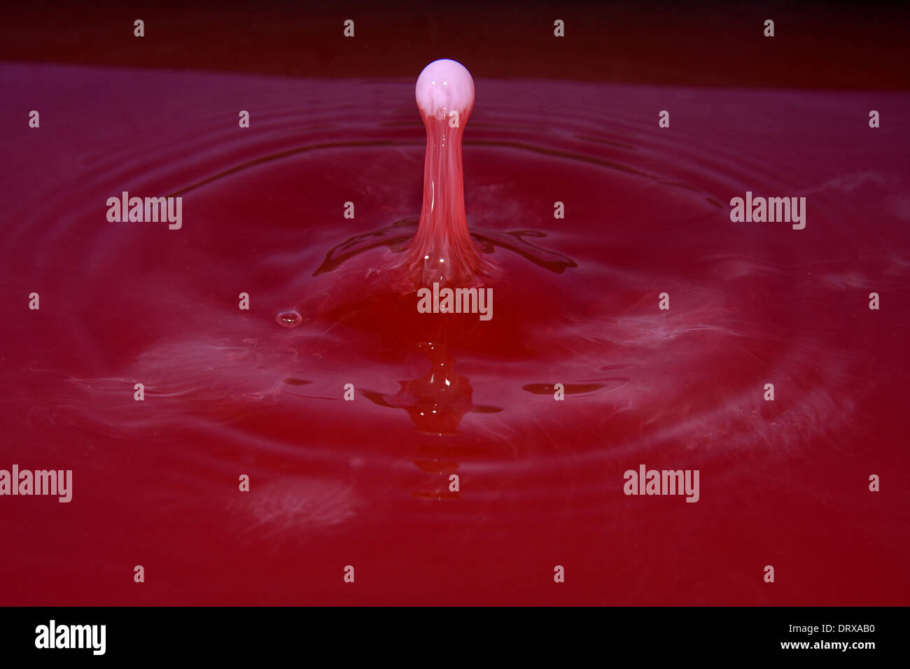droplet single splash in red liquid Stock Photo - Alamy