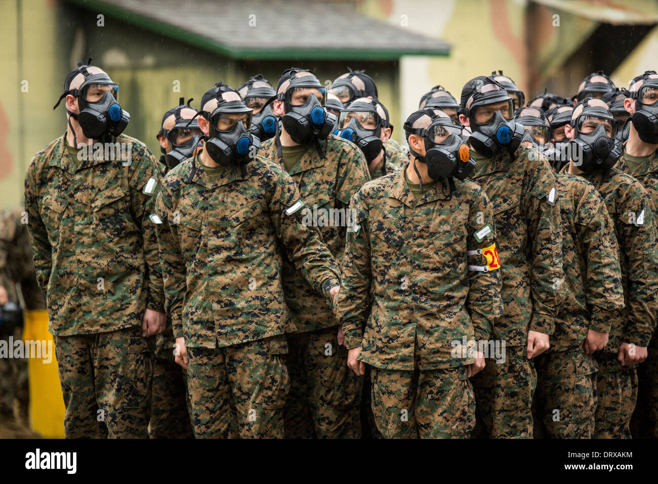 US Marine recruits prepare to enter the gas chamber during boot camp ...
