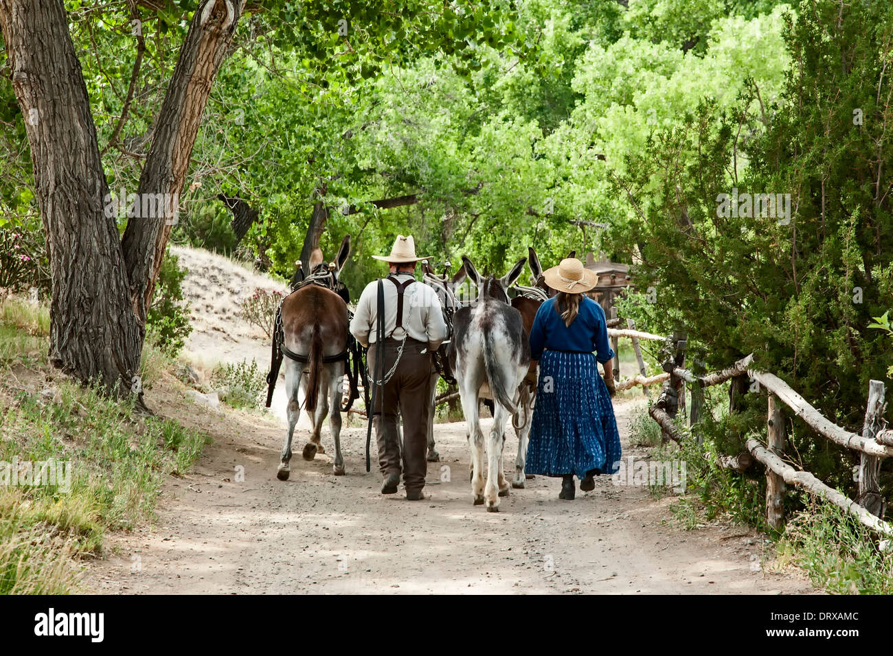 Donkey team and handlers, El Rancho de las Golondrinas (living history ...