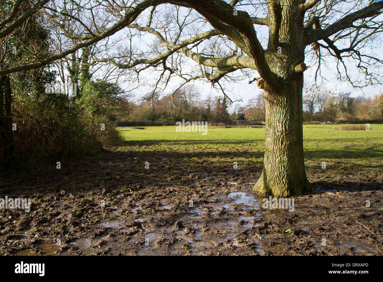 Titchfield harbour hi-res stock photography and images - Alamy