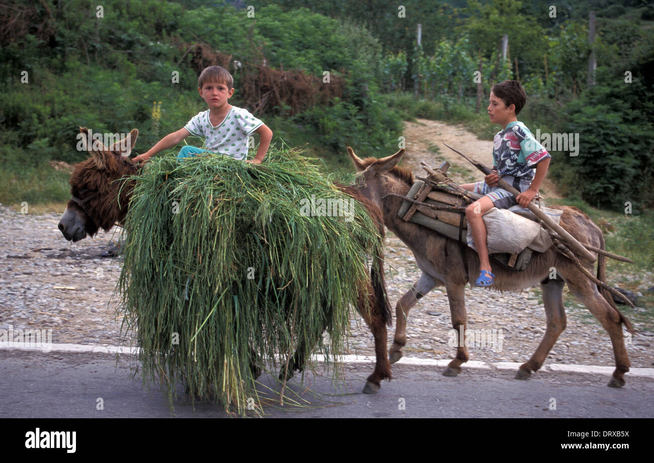 Albanian donkey hi-res stock photography and images - Alamy
