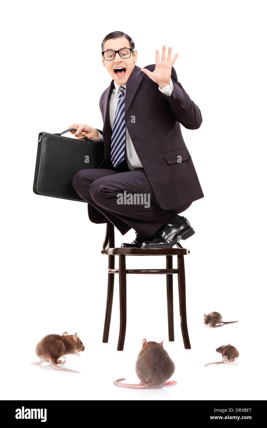 Terrified young businessman standing on chair in the middle of rat ...