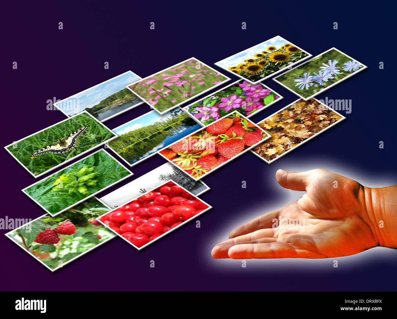 Human hand with different images of nature Stock Photo - Alamy